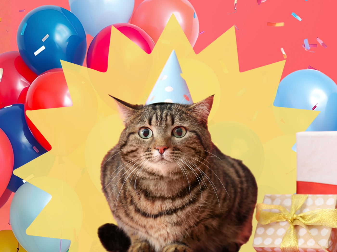 35 Happy Birthday Cat Wishes for Feline Fans Everywhere - Pensador