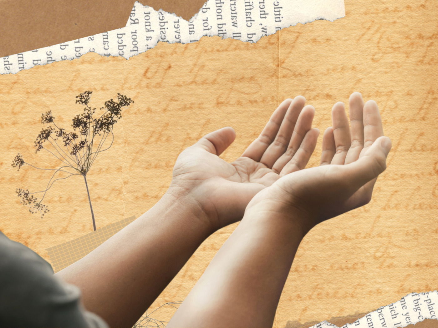 35 Humble Quotes To Stay Modest And Grateful - Pensador