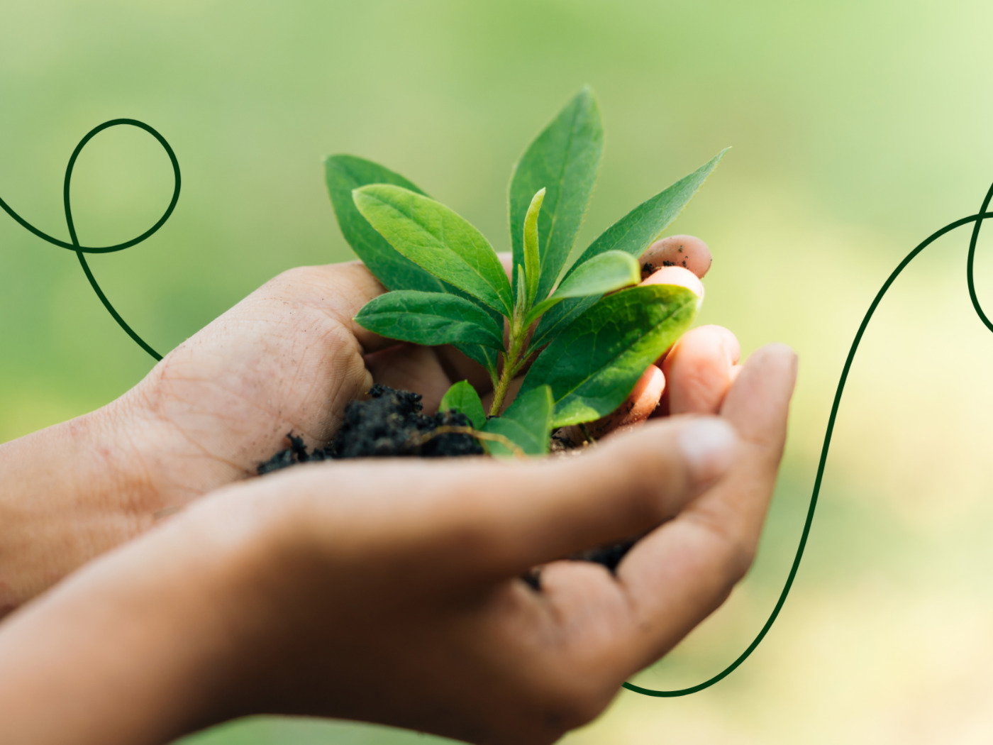 45+ Quotes About Growth To Inspire You To Achieve Your Goal - Pensador