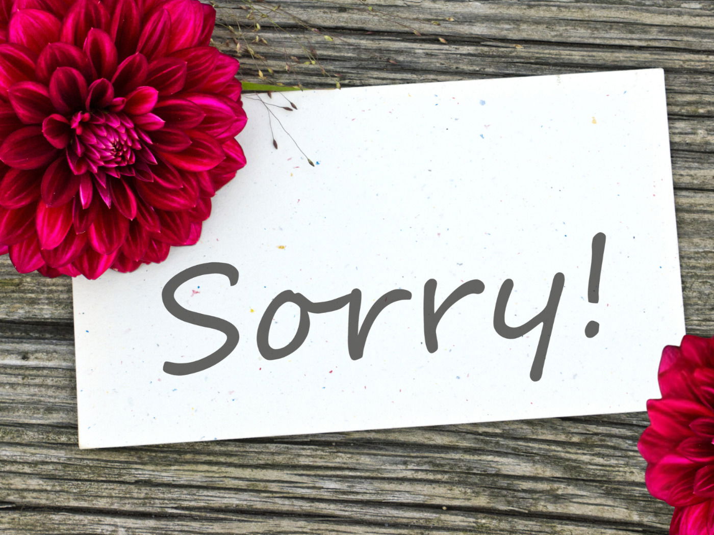 45 Sorry Message For Best Friend To Mend Your Friendship - Pensador