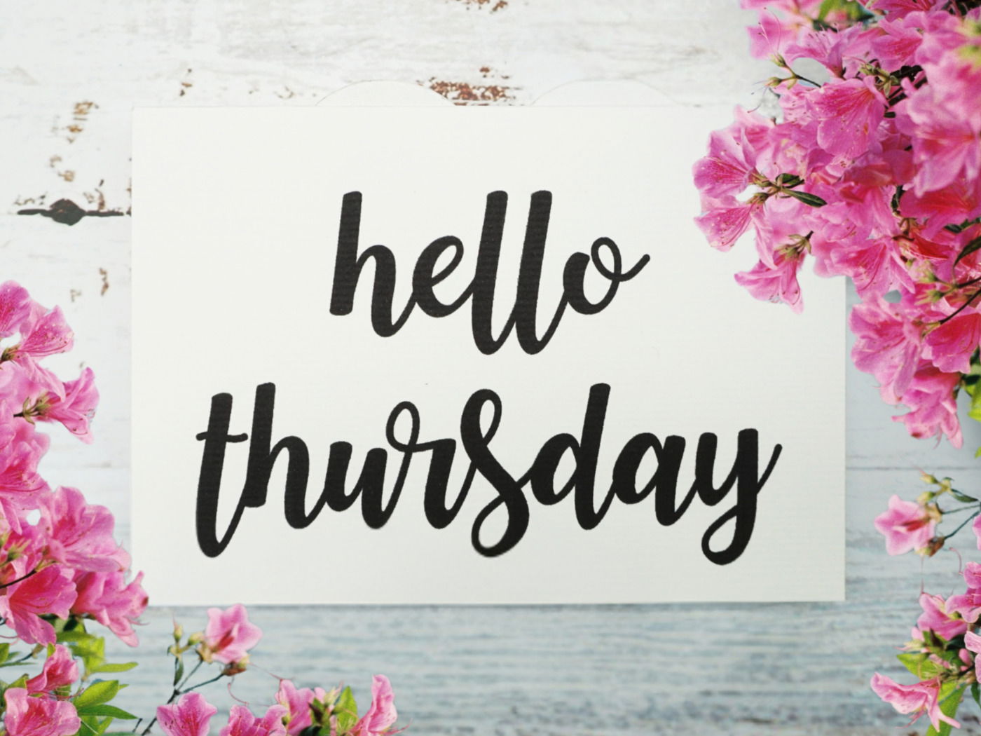 75+ Thursday Quotes to Inspire a Motivational Mindset - Pensador