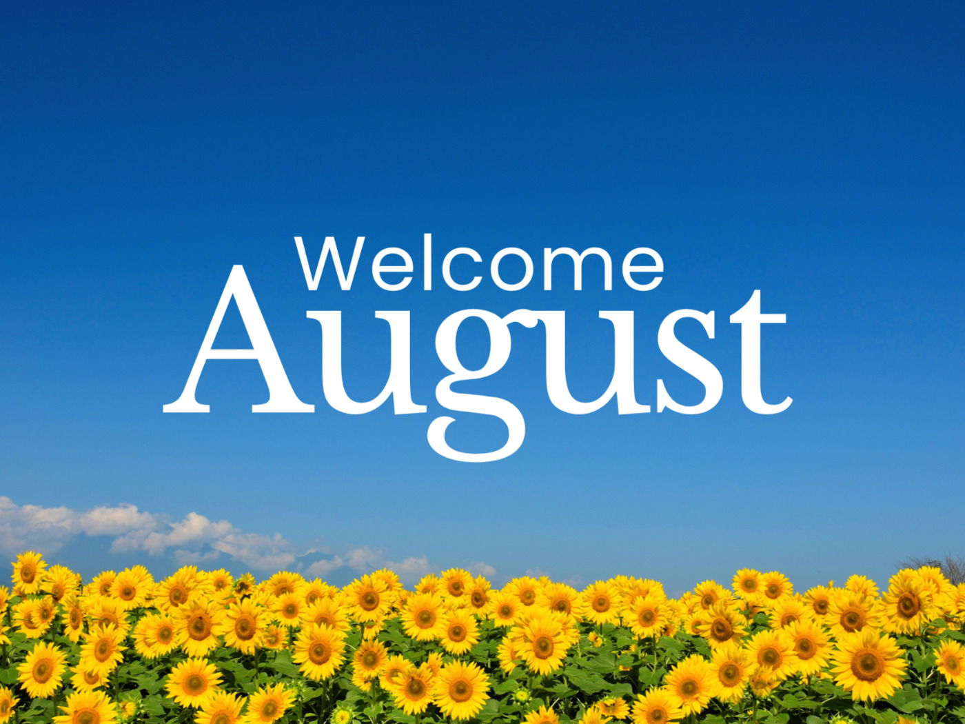 25+ Welcome August Quotes To Start The Month With Joy And Motivation ...