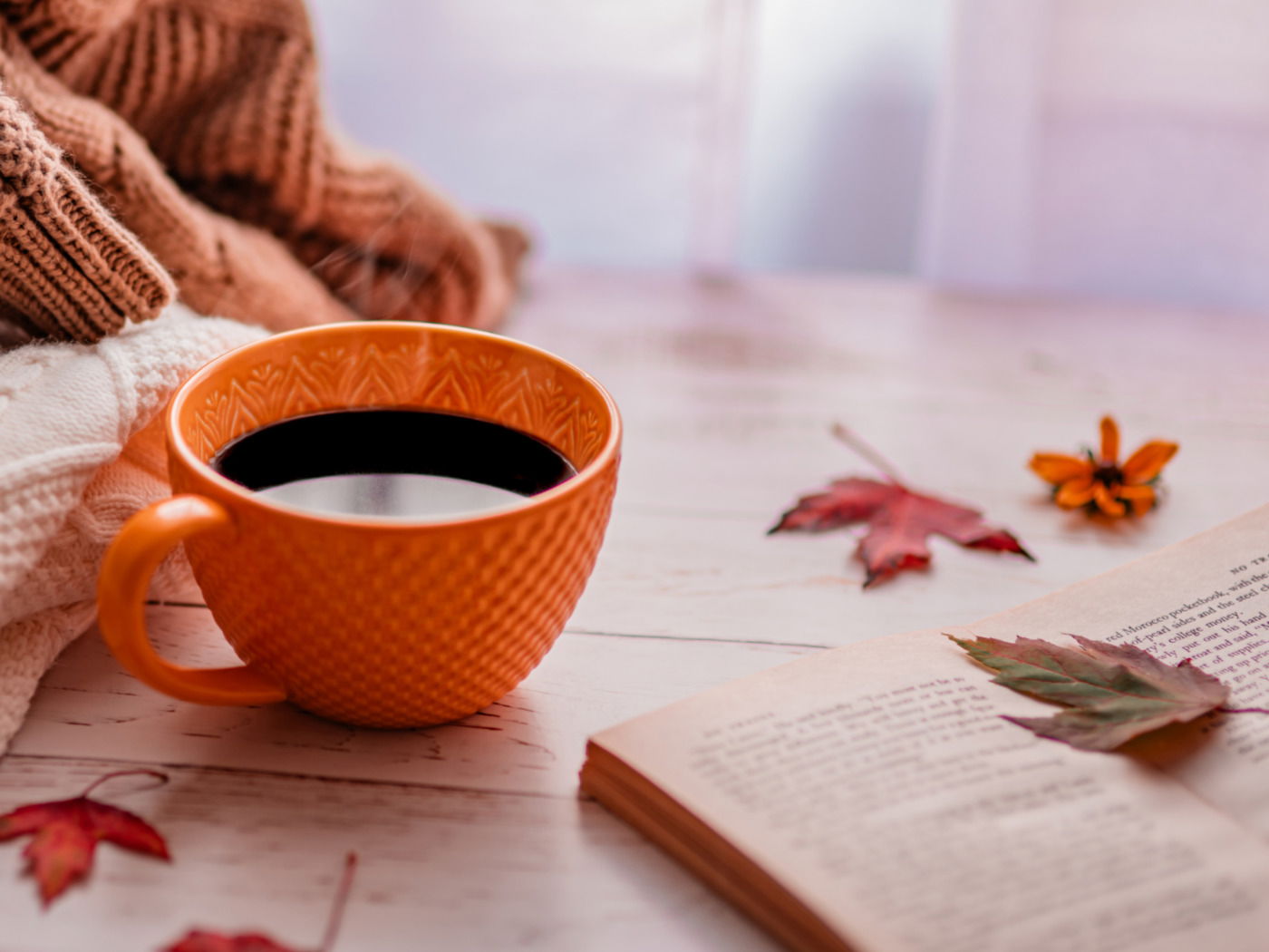 Bienvenido octubre: 36 frases para empezar el mes con alegría y buena ...