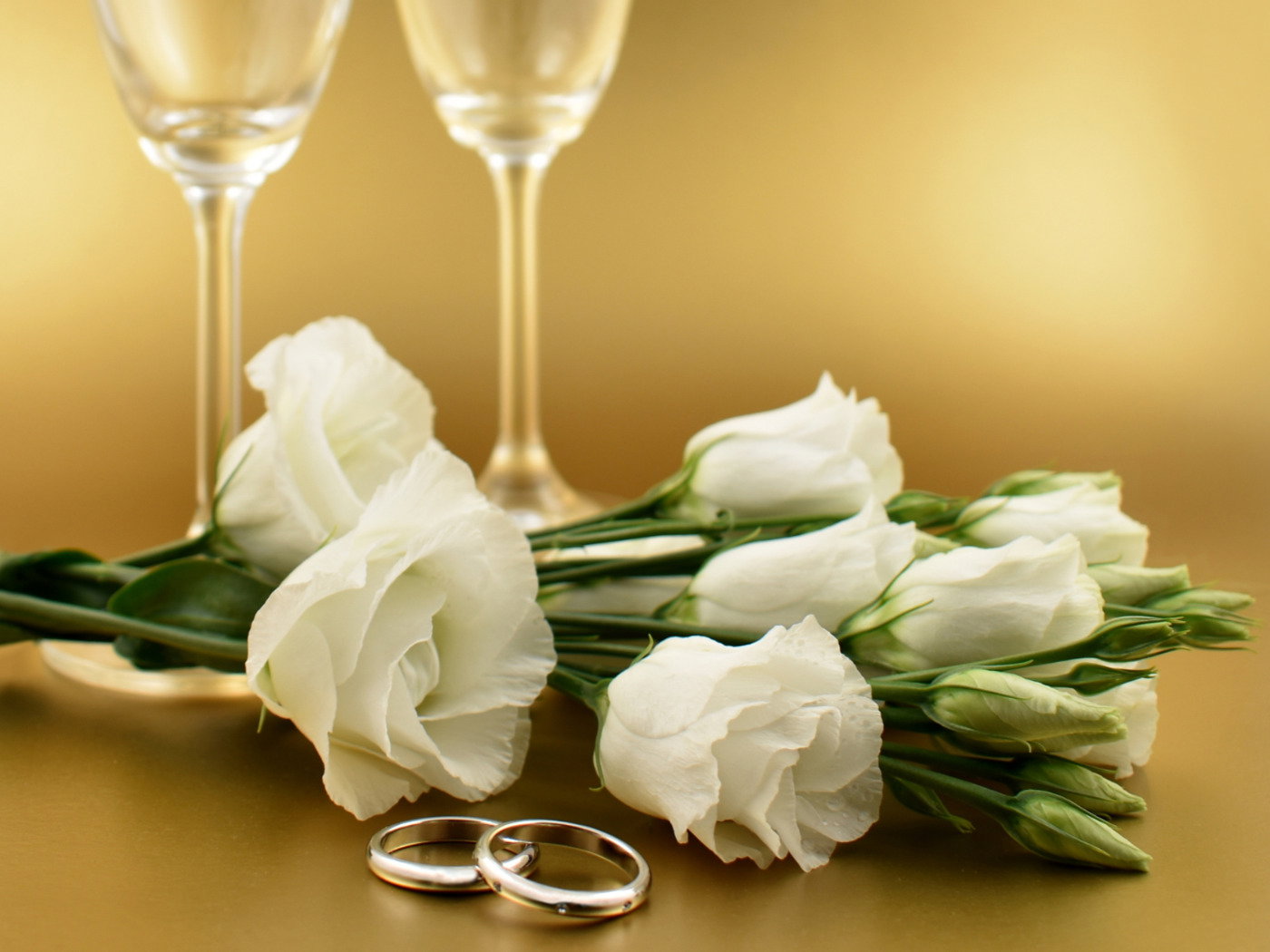 Bonita Boda De Oro