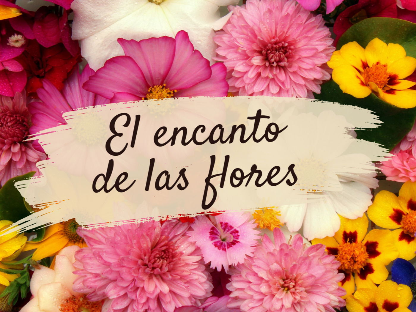 Mensajes De Saludo Y Flores Para Amiga