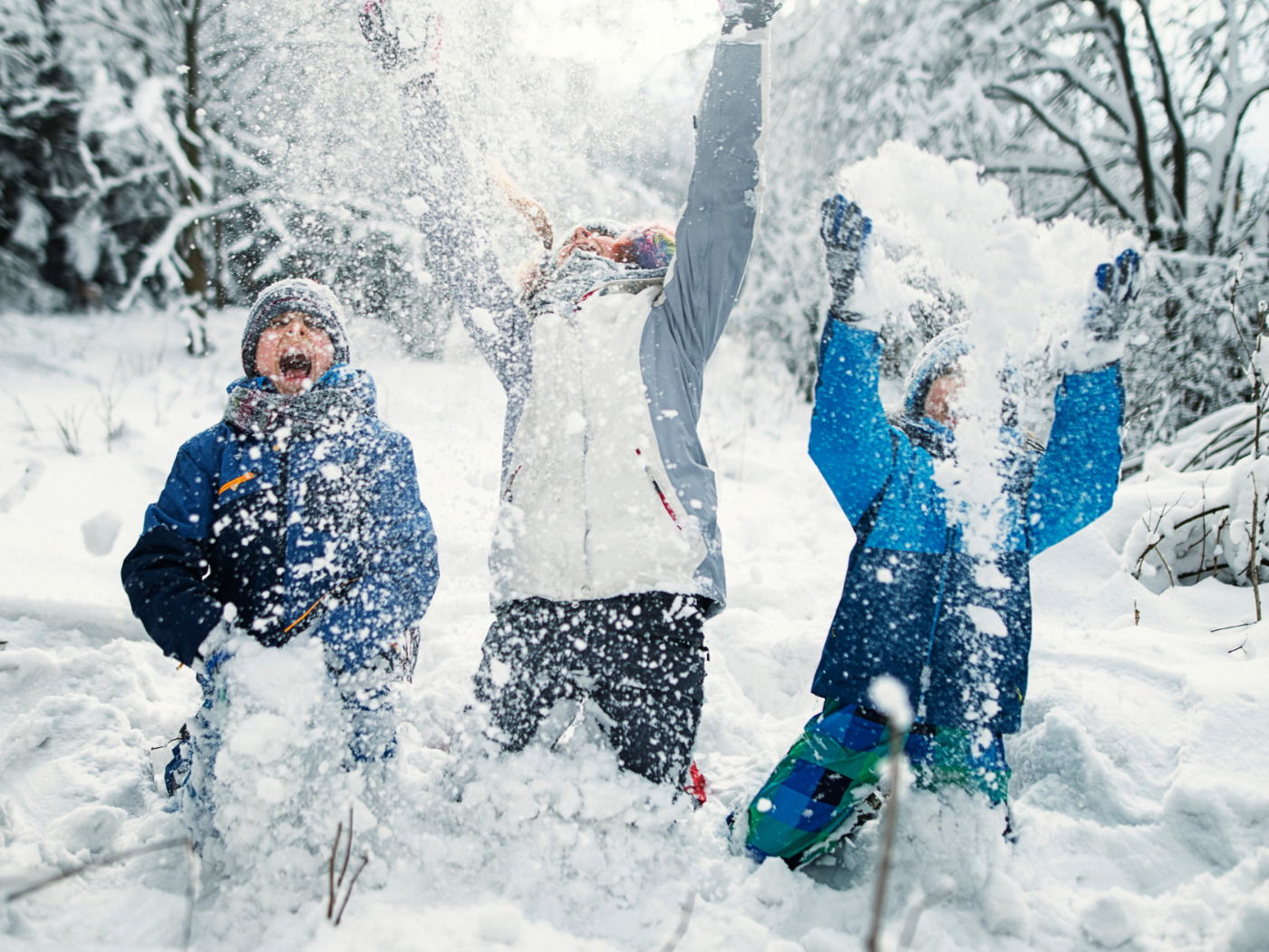 34 frases de invierno que capturan la belleza de esta estación - Pensador