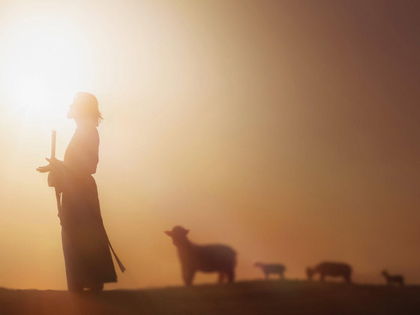 32 frases de Jesús que transforman corazones y fortalecen la fe - Pensador