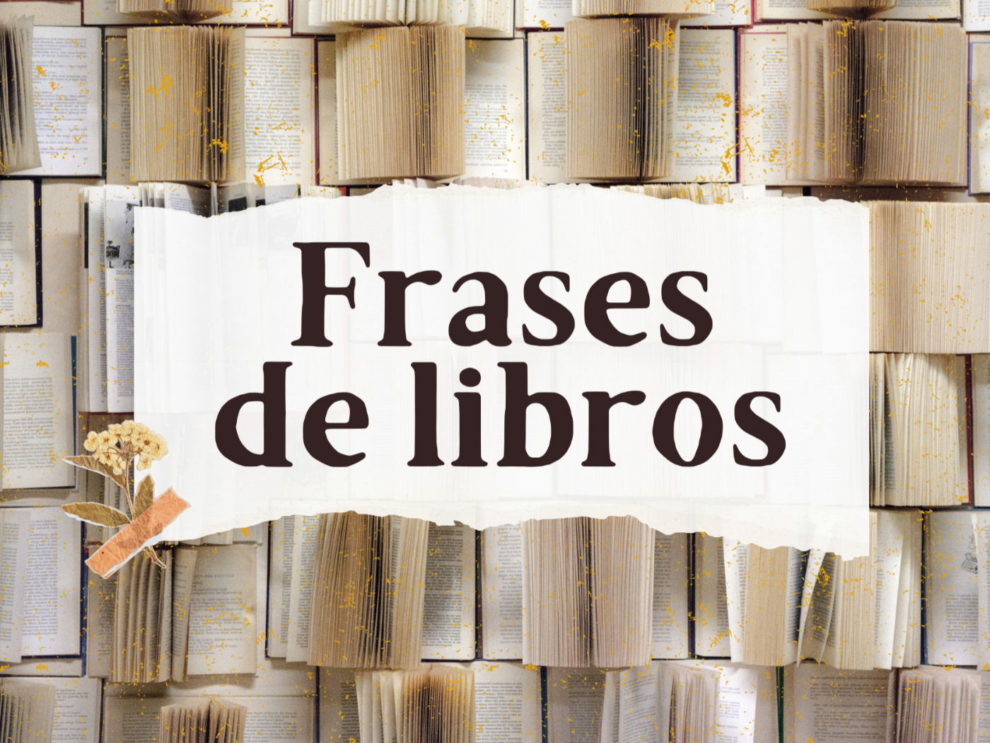 103 frases de libros que transformarán tu pensamiento - Pensador