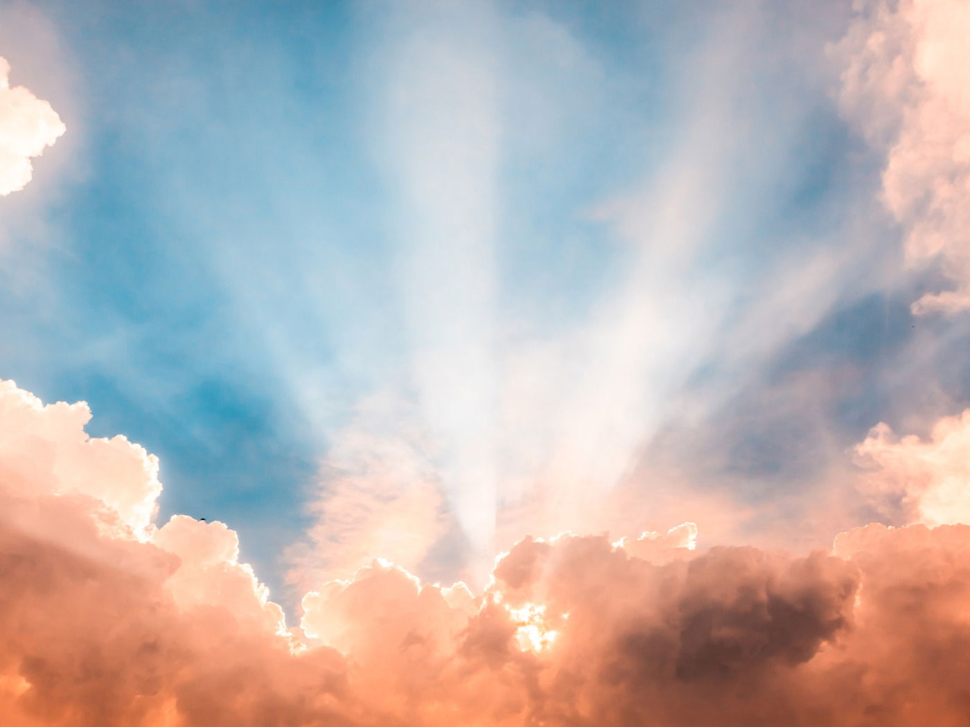 27 frases de luz para cultivar tu paz, amor y fuerza interior - Pensador