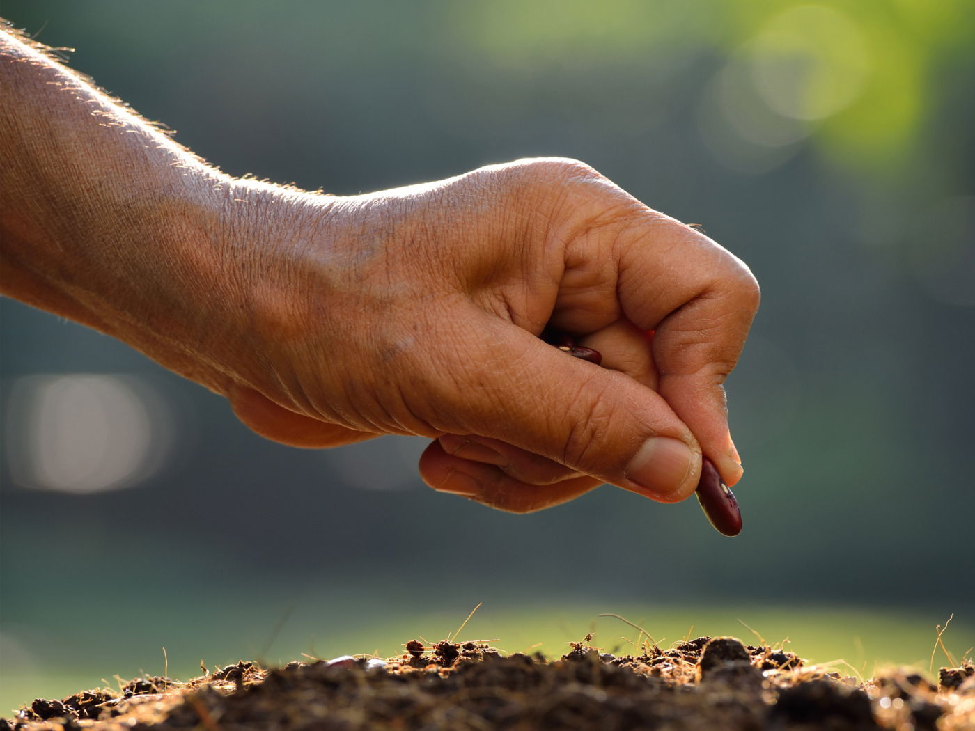 51 frases de un nuevo comienzo con esperanza y confianza - Pensador 51 frases de un nuevo comienzo con esperanza y confianza - Pensador