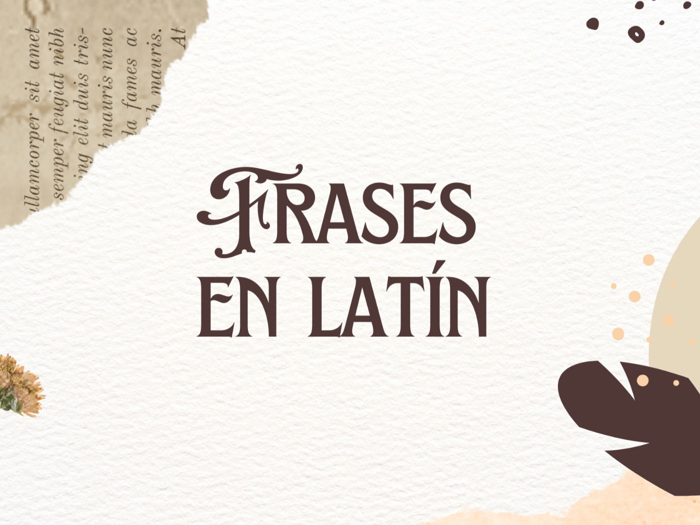 59 frases en latín con significado para dar profundidad a tus palabras ...