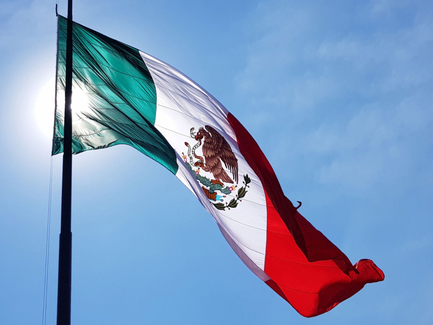 Frases para el Día de la Bandera de México que celebran el orgullo ...
