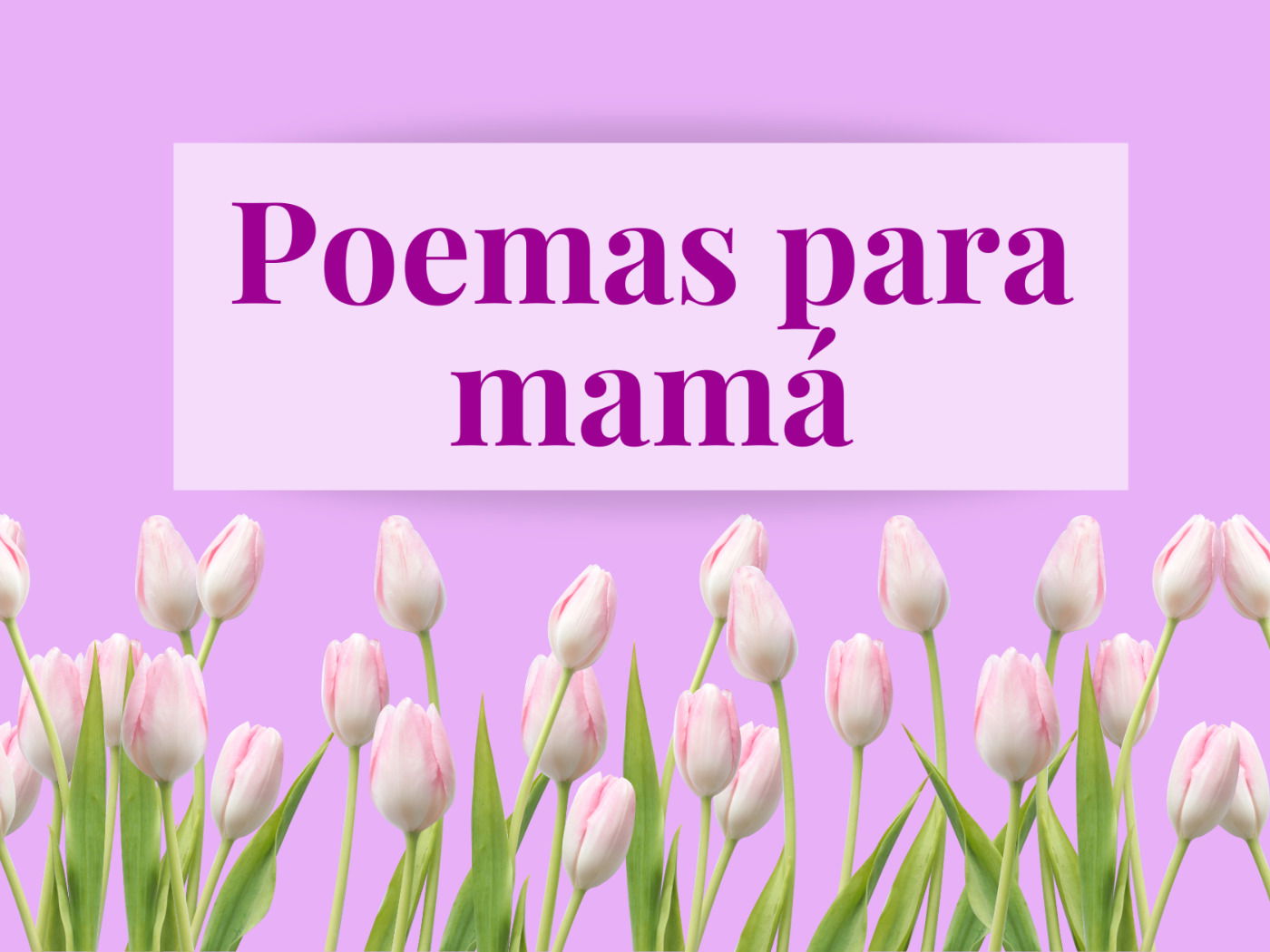 24 Poemas Para El Día De La Madre Llenos De Amor Y Gratitud Pensador