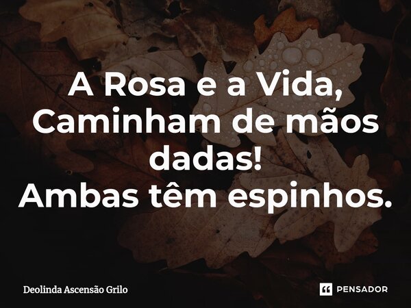 a Rosa E A Vida Caminham De Mãos Deolinda Ascensão Grilo Pensador
