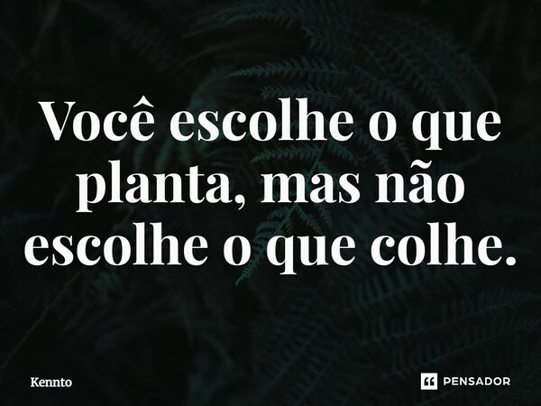 você Escolhe O Que Planta Mas Não Kennto Pensador