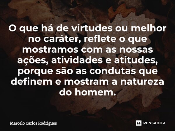 o Que Há De Virtudes Ou Melhor No Marcelo Carlos Rodrigues Pensador