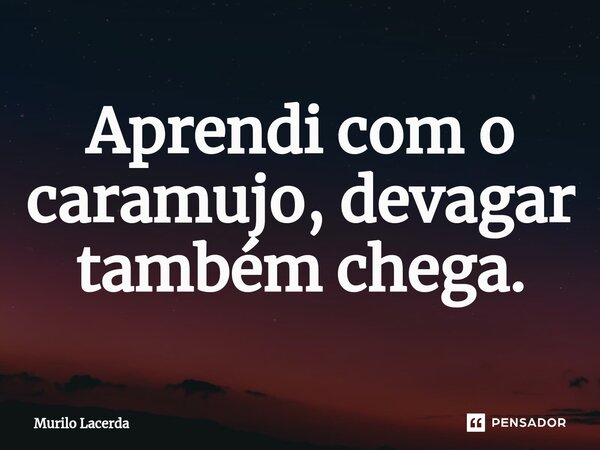 aprendi Com O Caramujo Devagar Murilo Lacerda Pensador