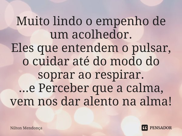 muito Lindo O Empenho De Um Nilton Mendonça Pensador