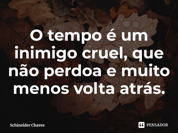 o Tempo é Um Inimigo Cruel Que Não Schineider Chaves Pensador