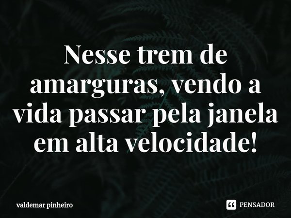 nesse Trem De Amarguras Vendo A Vida Valdemar Pinheiro Pensador