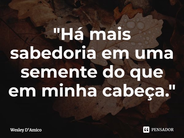 Há Mais Sabedoria Em Uma Wesley Damico Pensador
