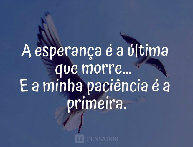 74 frases inteligentes para fazer o mundo refletir - Pensador
