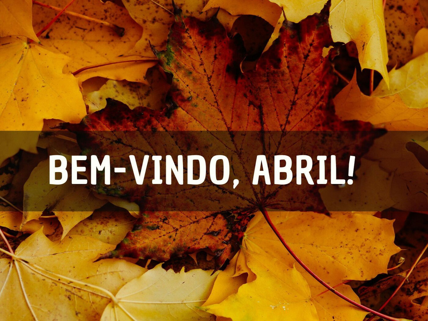 47 frases de bem-vindo, abril, para iniciar o mês com boas energias - Pensador