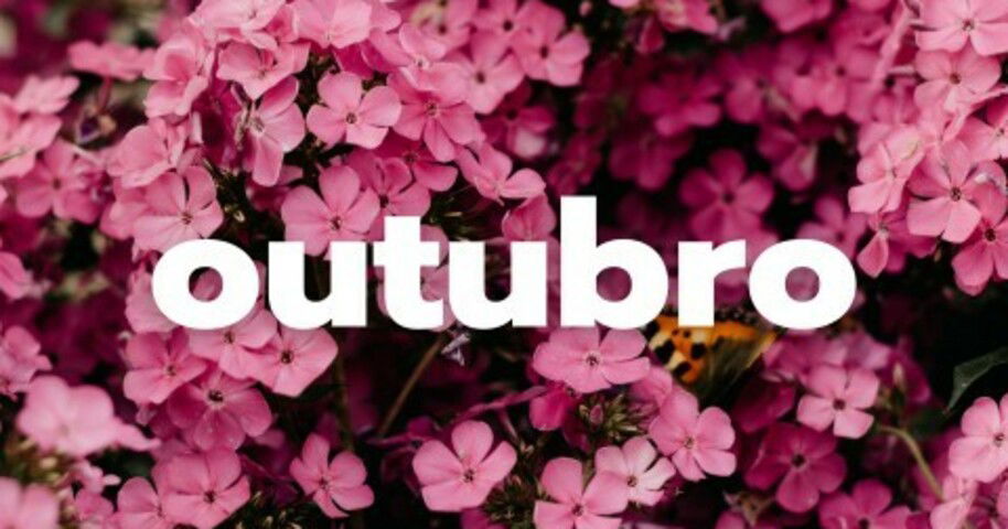 53 frases de bem-vindo, outubro, para ter um mês incrível - Pensador