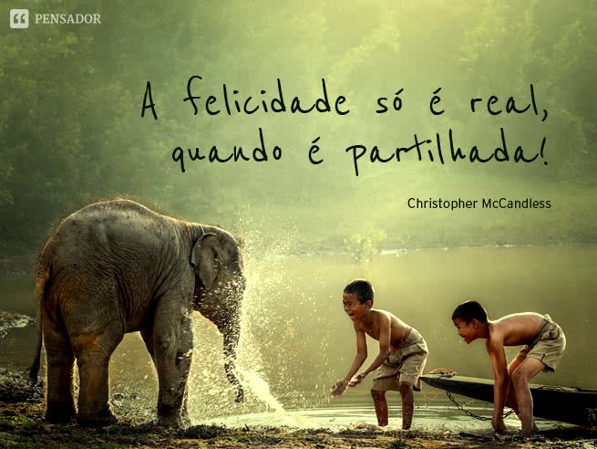 15 frases que mostram o que é a verdadeira felicidade - Pensador