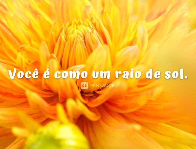 As 65 melhores frases de elogios - Pensador