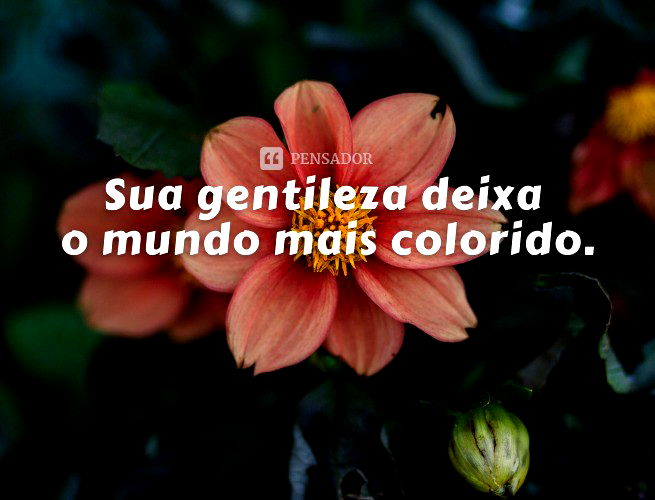 As 65 melhores frases de elogios - Pensador