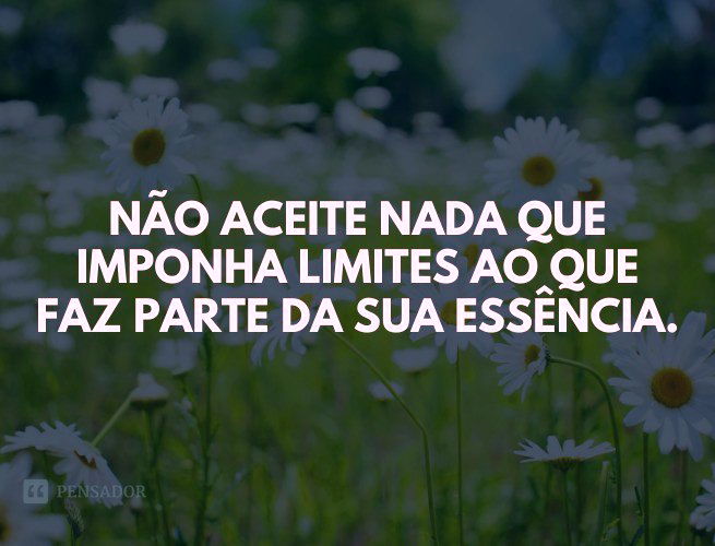As 81 melhores frases de motivação: escolha a perfeita para hoje - Pensador