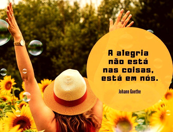 As frases mais bonitas para legendar as suas fotos 📸 - Pensador