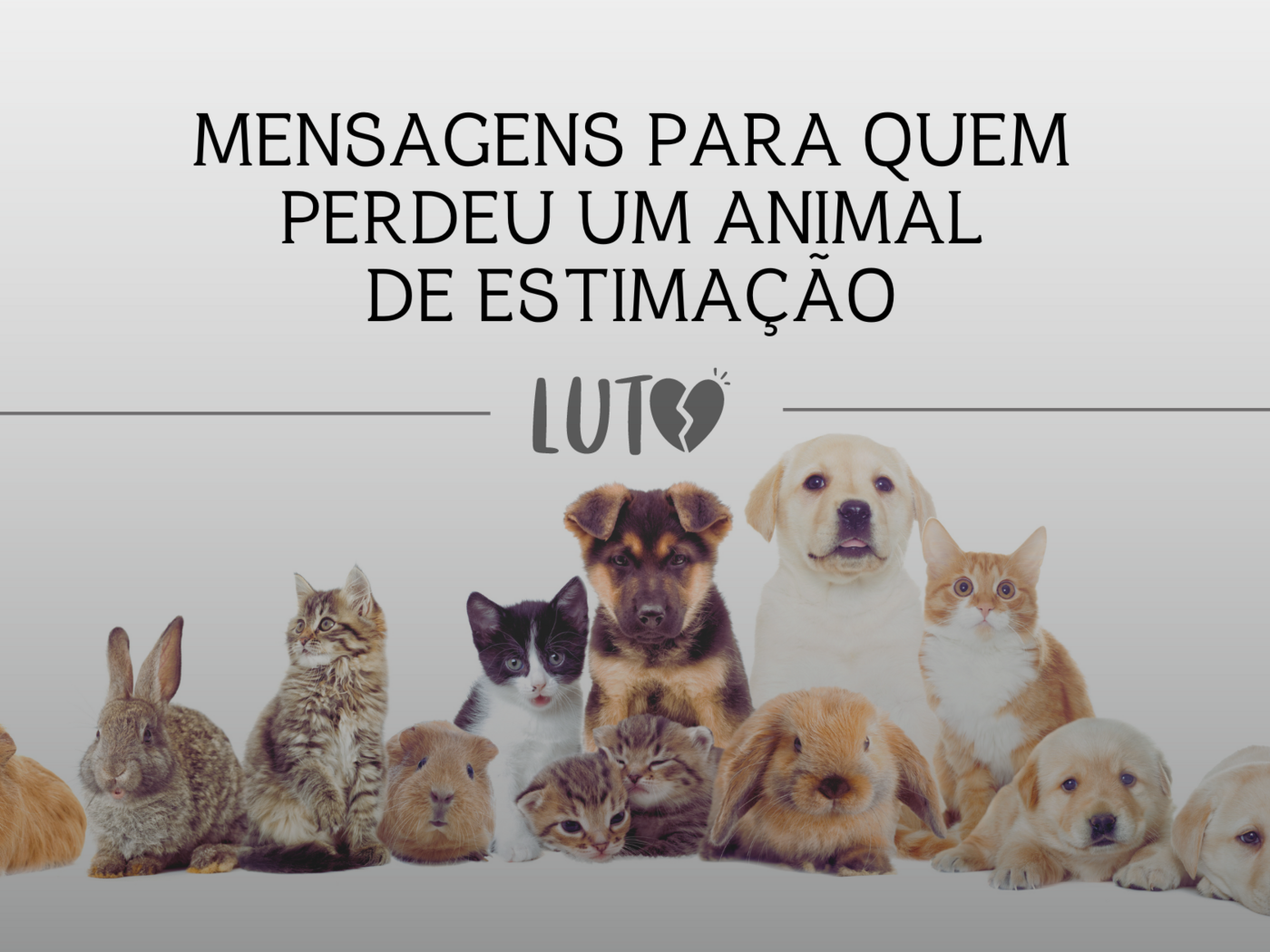27 mensagens de conforto para quem perdeu um animal de estimação - Pensador