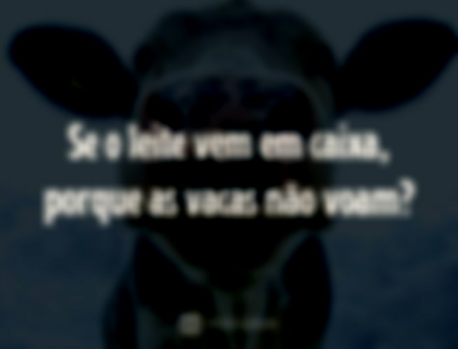 53 frases sem sentido e engraçadas que vão te fazer gargalhar 🤔😂 - Pensador