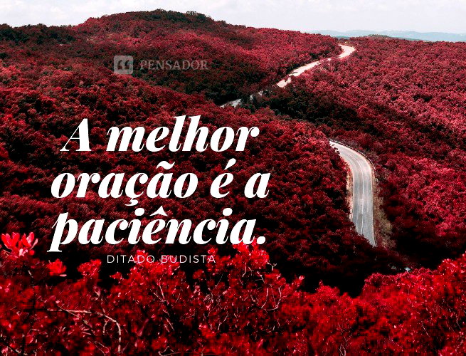 100 provérbios e ditados populares cheios de sabedoria - Pensador