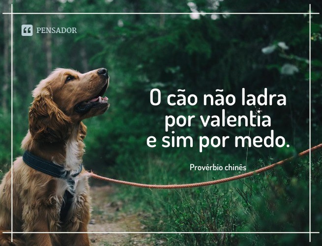 40 provérbios chineses que nos incentivam a sermos pessoas melhores ...