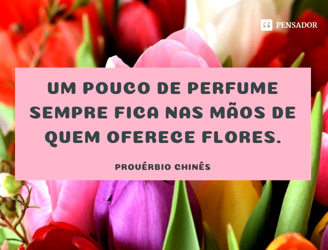 40 provérbios chineses que nos incentivam a sermos pessoas melhores ...