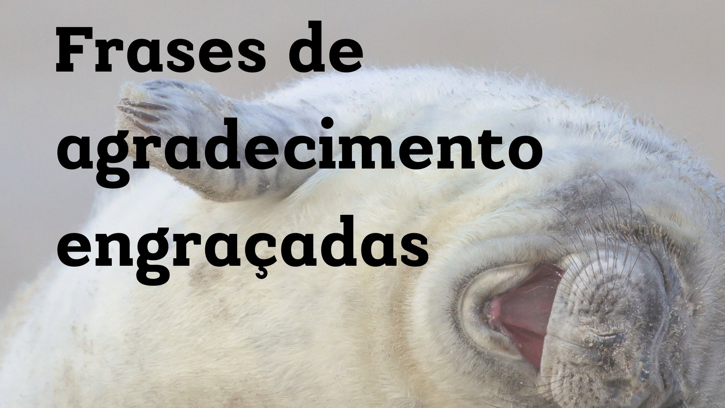 Imagens Engracadas De Agradecimento Para Ppt