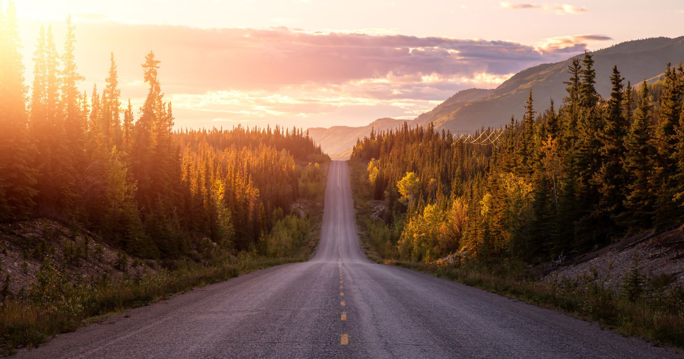 Caminhos da vida: textos que inspiram reflexões - Pensador
