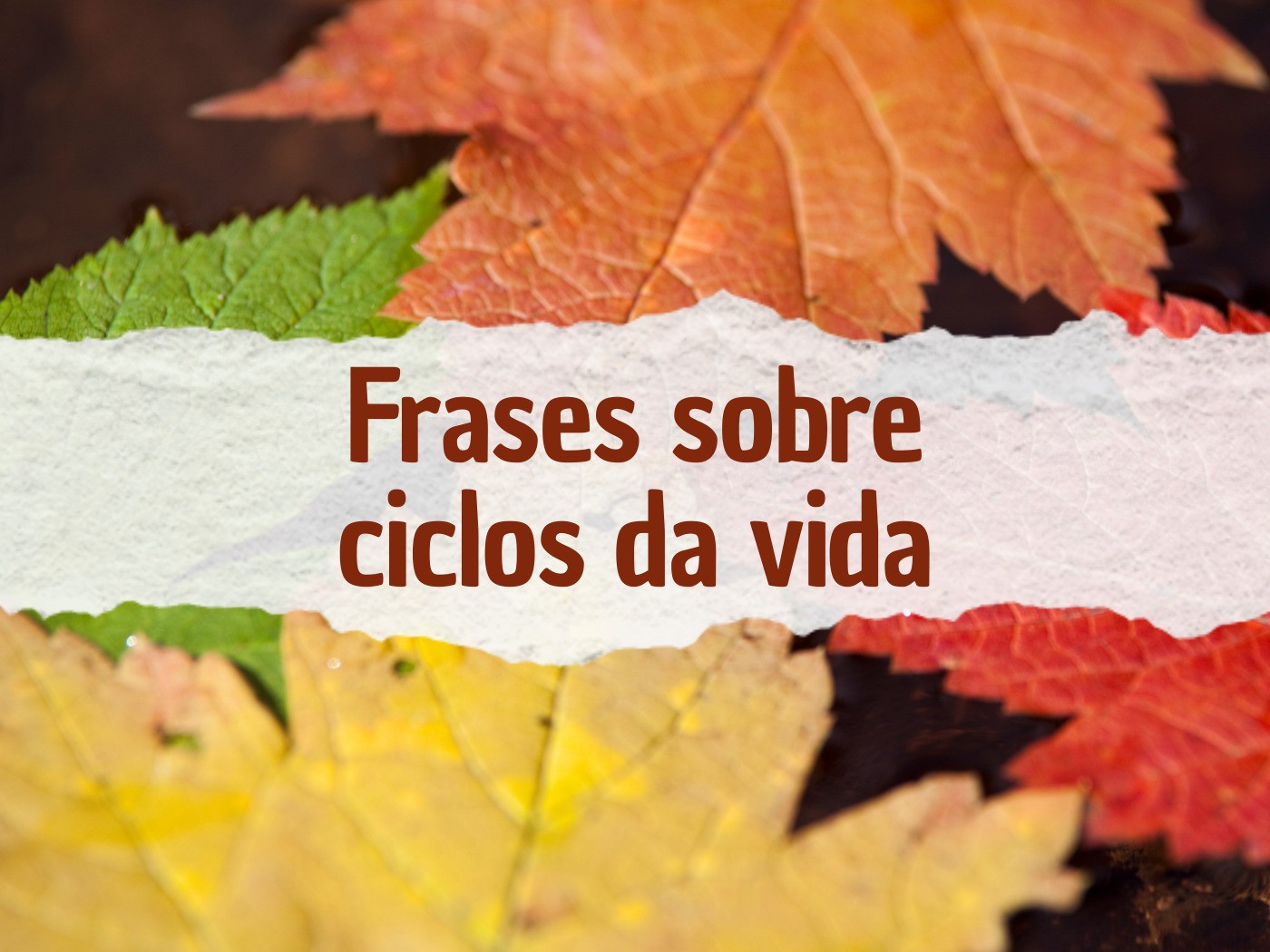 Frases sobre ciclos da vida para celebrar começos e fins - Pensador