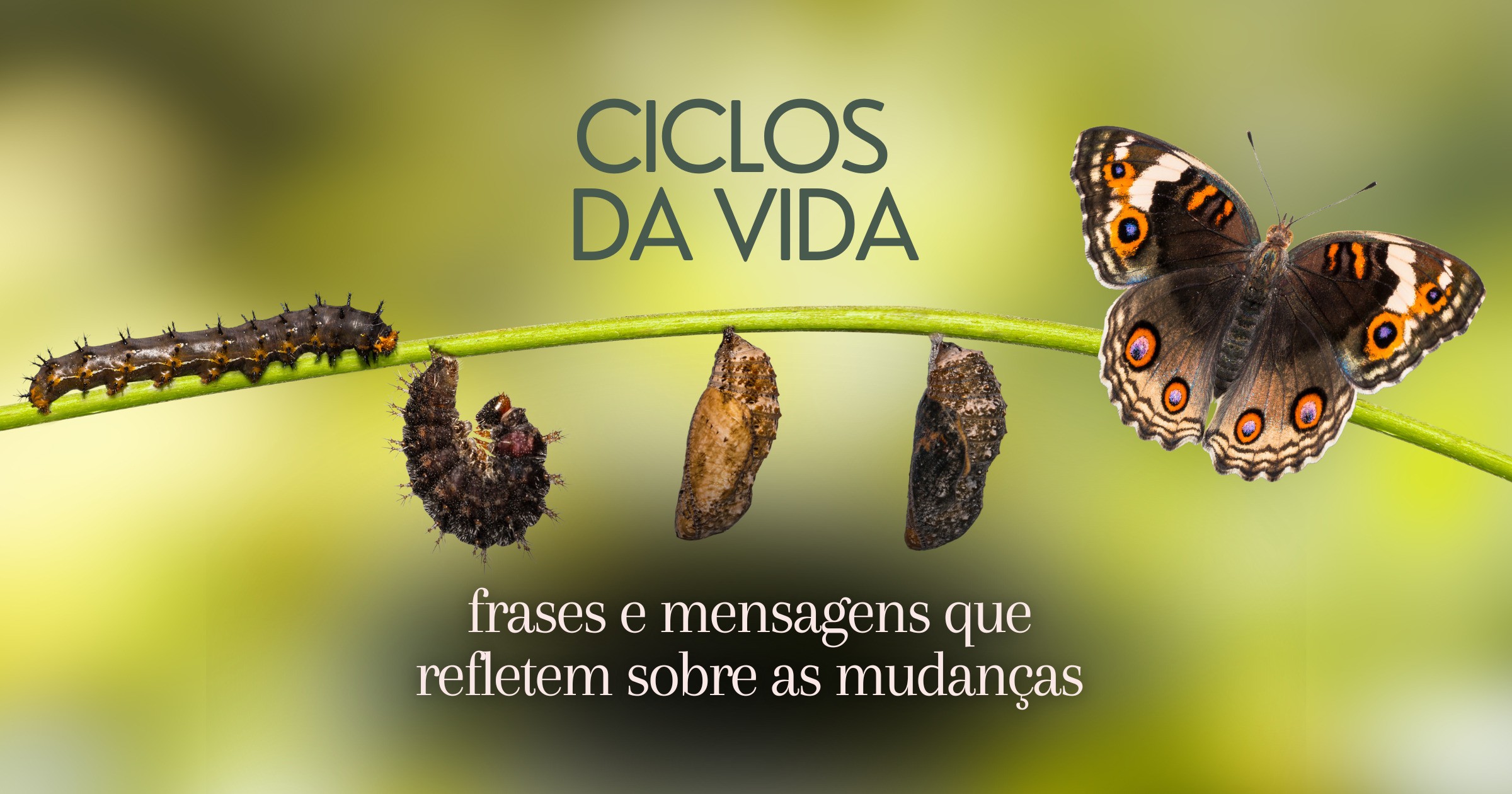 Ciclos da vida: frases e mensagens que refletem sobre as mudanças ...