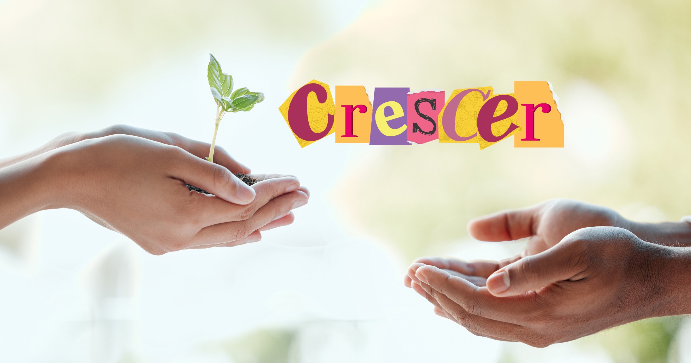 Crescer Ja Citacoes