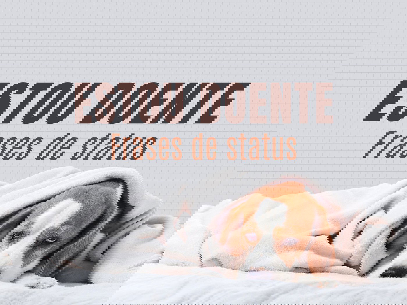 Estou doente: frases de status para quem não está se sentindo bem ... Estou doente: frases de status para quem não está se sentindo bem ...