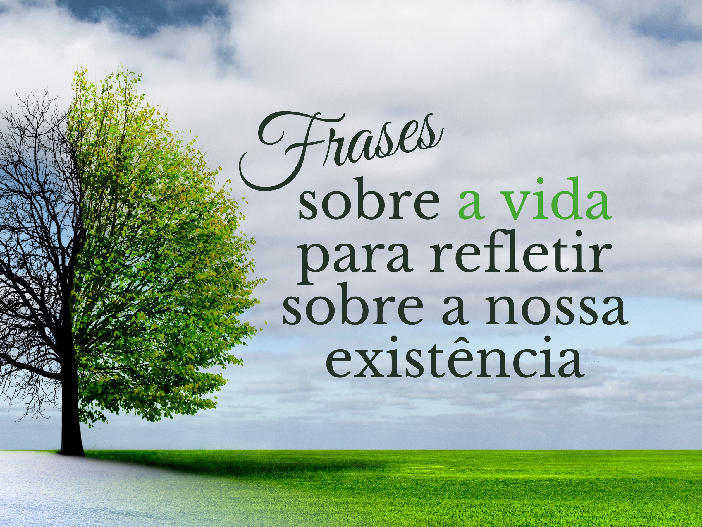 Proverbios E Citacoes Da Vida Para Viver Viver