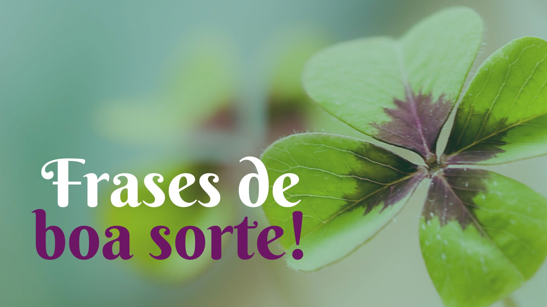 55 frases de boa sorte para transmitir positividade e confiança 🍀 ...