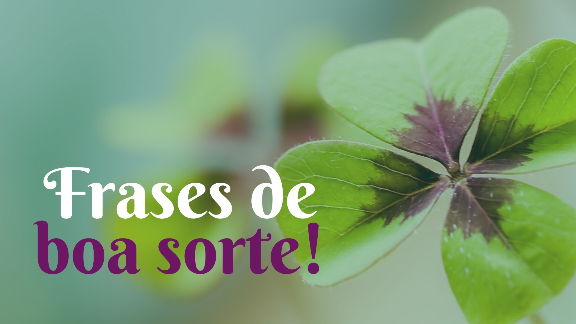 55 Frases De Boa Sorte Para Transmitir Positividade E Confian a 