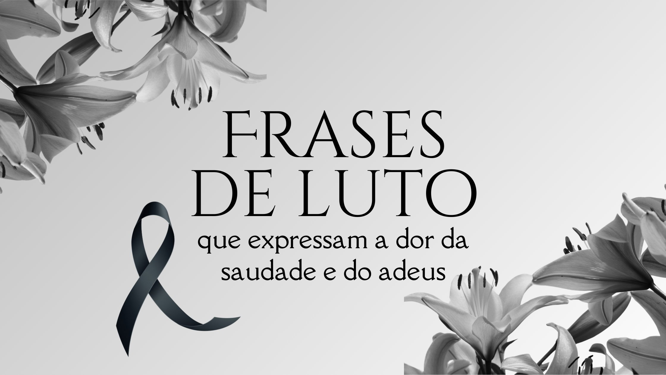 Fotos De Perfil De Luto Por Uma Amiga