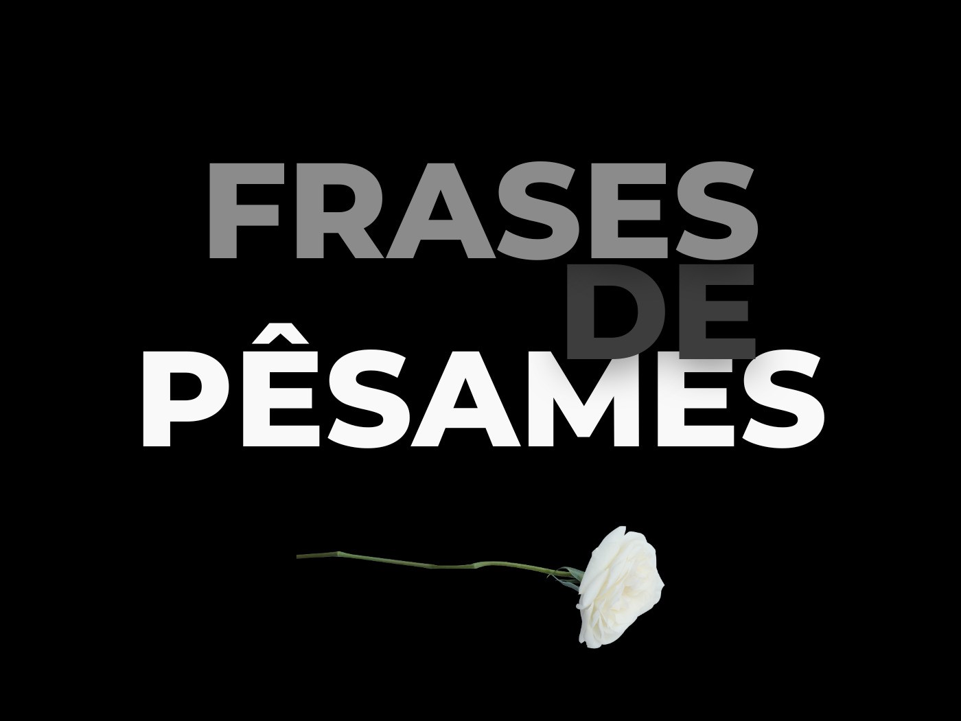 32 frases de pêsames para expressar seus sentimentos - Pensador