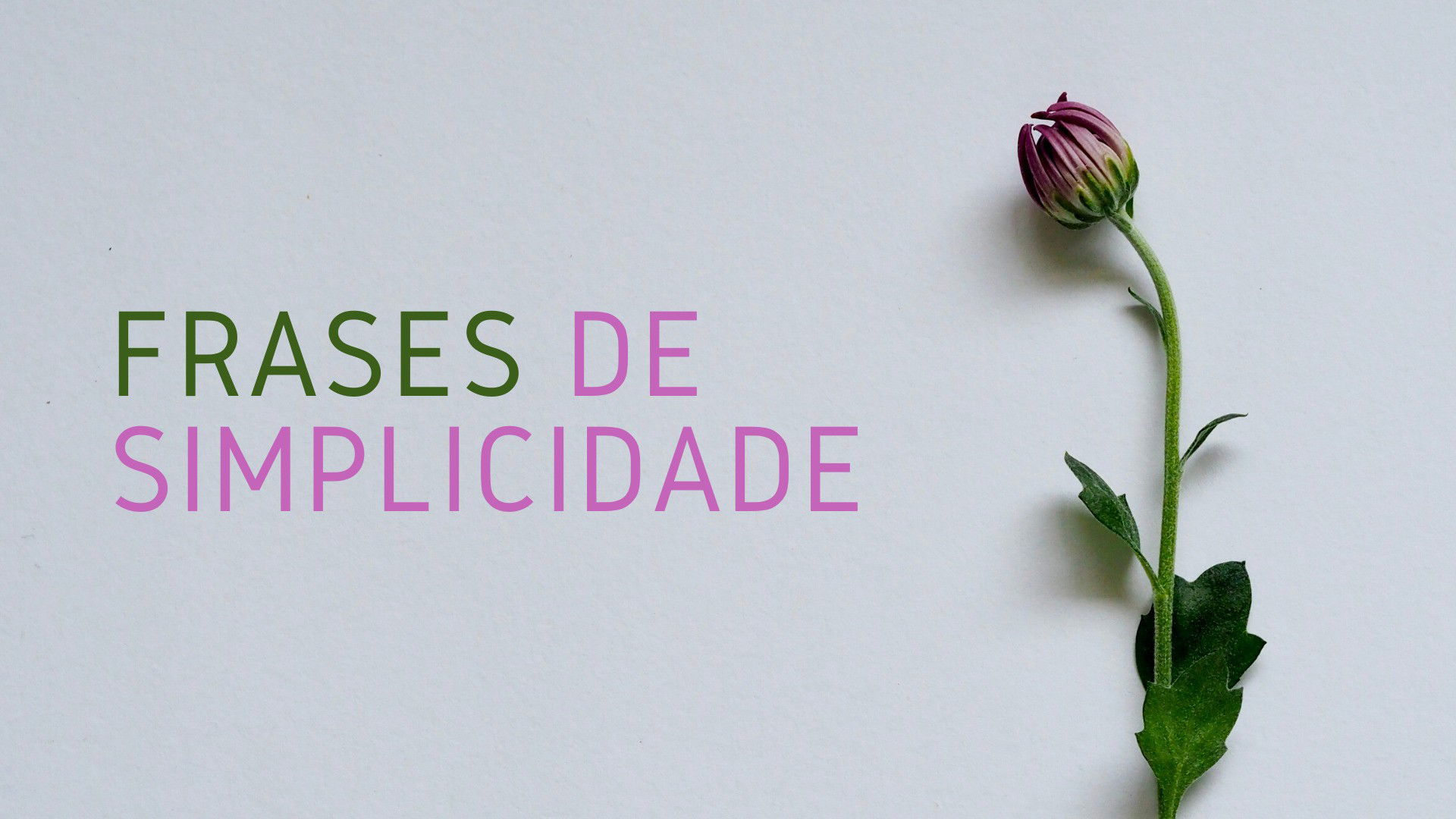 Frases de simplicidade: 87 reflexões para se encantar com o simples ...